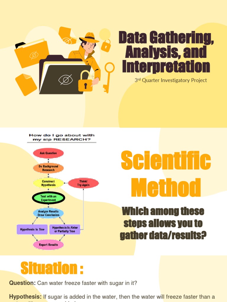 Analysis and Interpretation Investigatory Project GUIDE | PDF | Chart ...