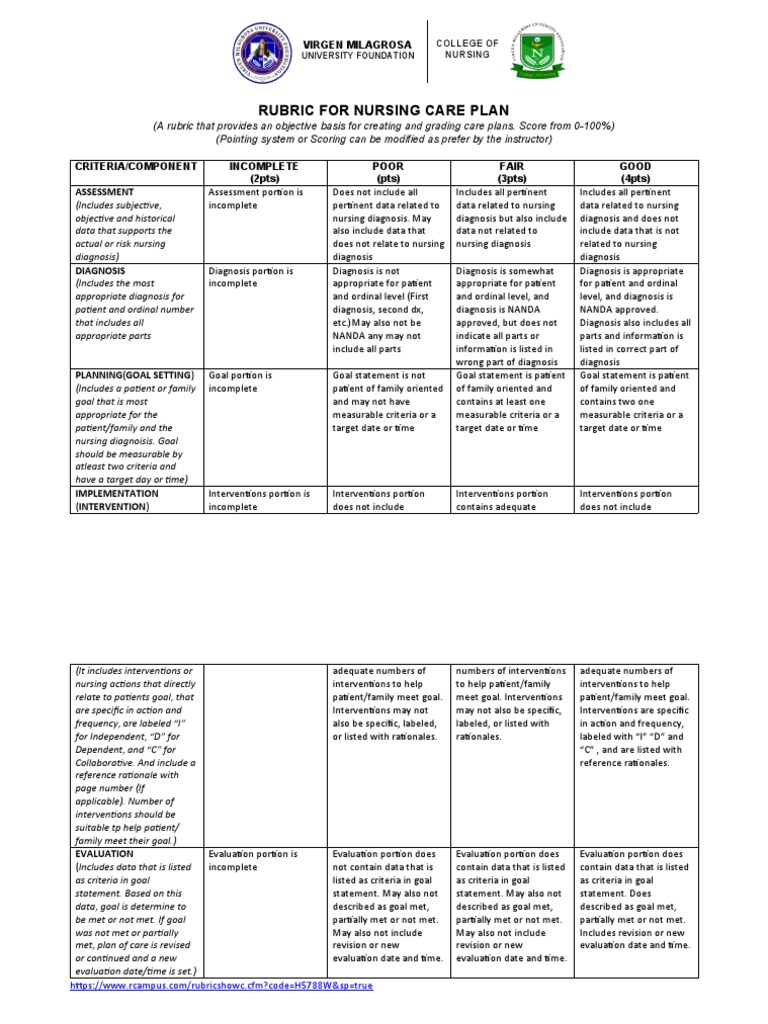 Rubric For Nursing Care Plan | Download Free PDF | Medical Diagnosis ...