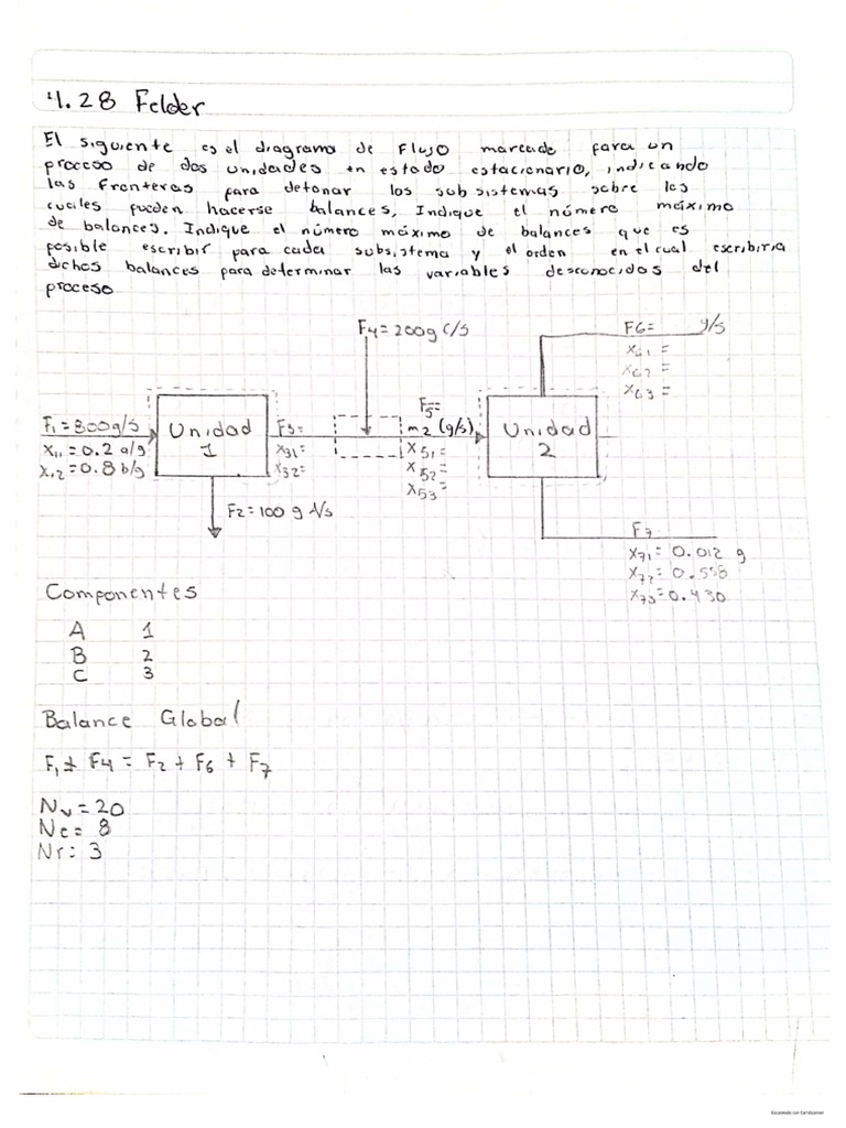 4.28 Felder Isaac Albino | PDF