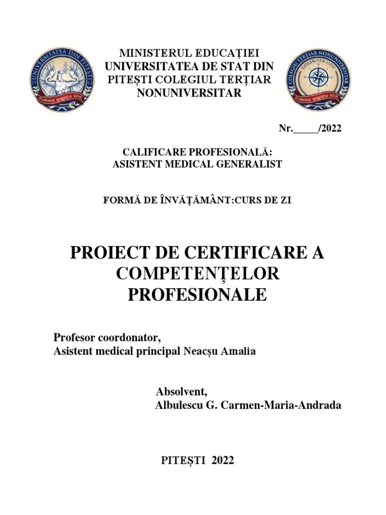 Coperta Lucrare Albulescu Andrada | PDF