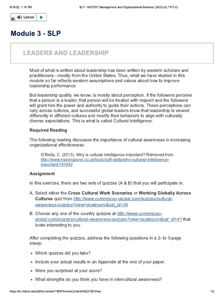 SLP - MGT501 Management and Organizational Behavior (2022JUL11FT-2) | PDF