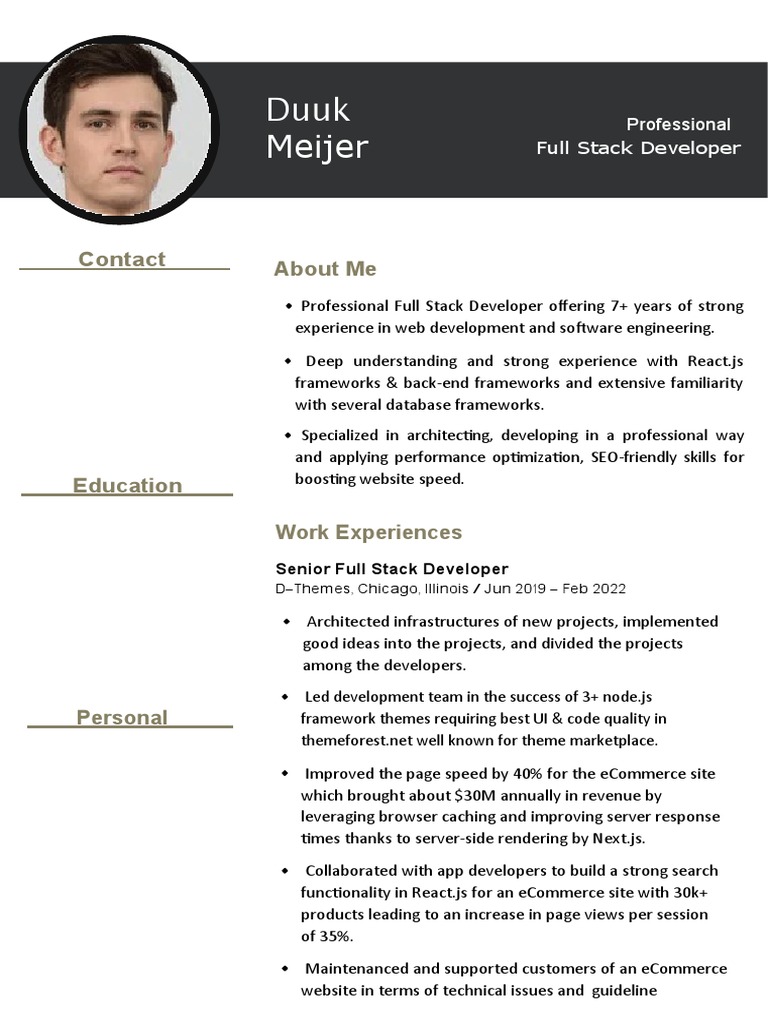 Professional Full Stack Developer | PDF | Software Development ...