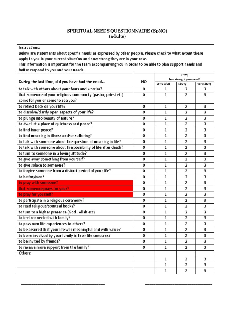 SIRITUAL NEEDS QUESTIONNAIRE (SPQN) | PDF | Behavioural Sciences ...