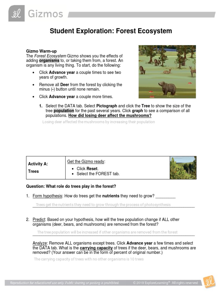 Kami Export - ForestEcosystemSE | PDF | Trees | Ecosystem