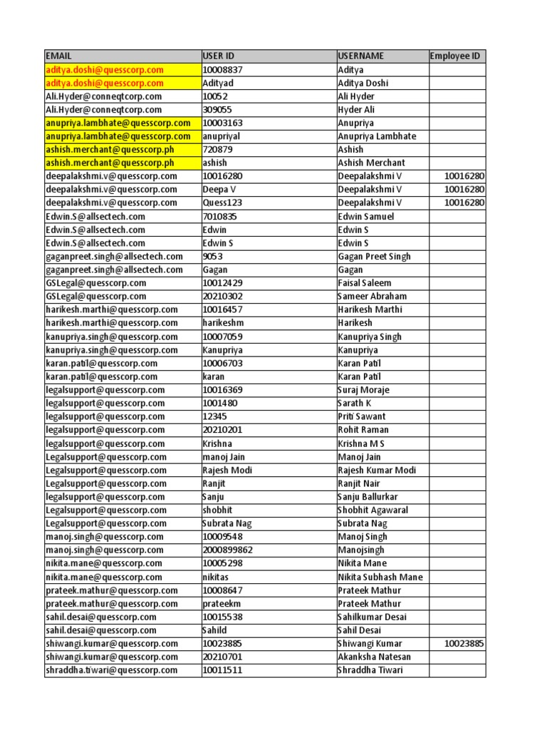 Employee Email and User IDs | PDF