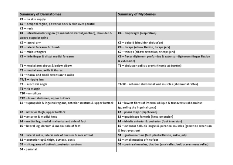 Dermatomes and Myotomes Overview | PDF