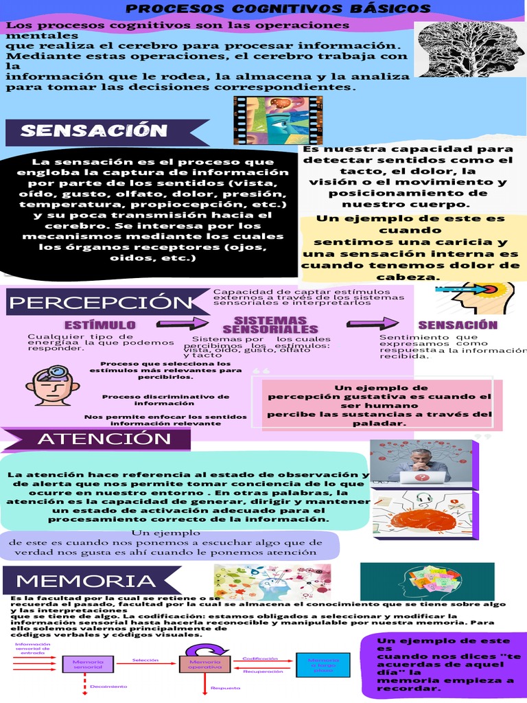 Infografia Procesos Cognitivos Basicos Utilizados para La Comprension Textual PDF | PDF ...