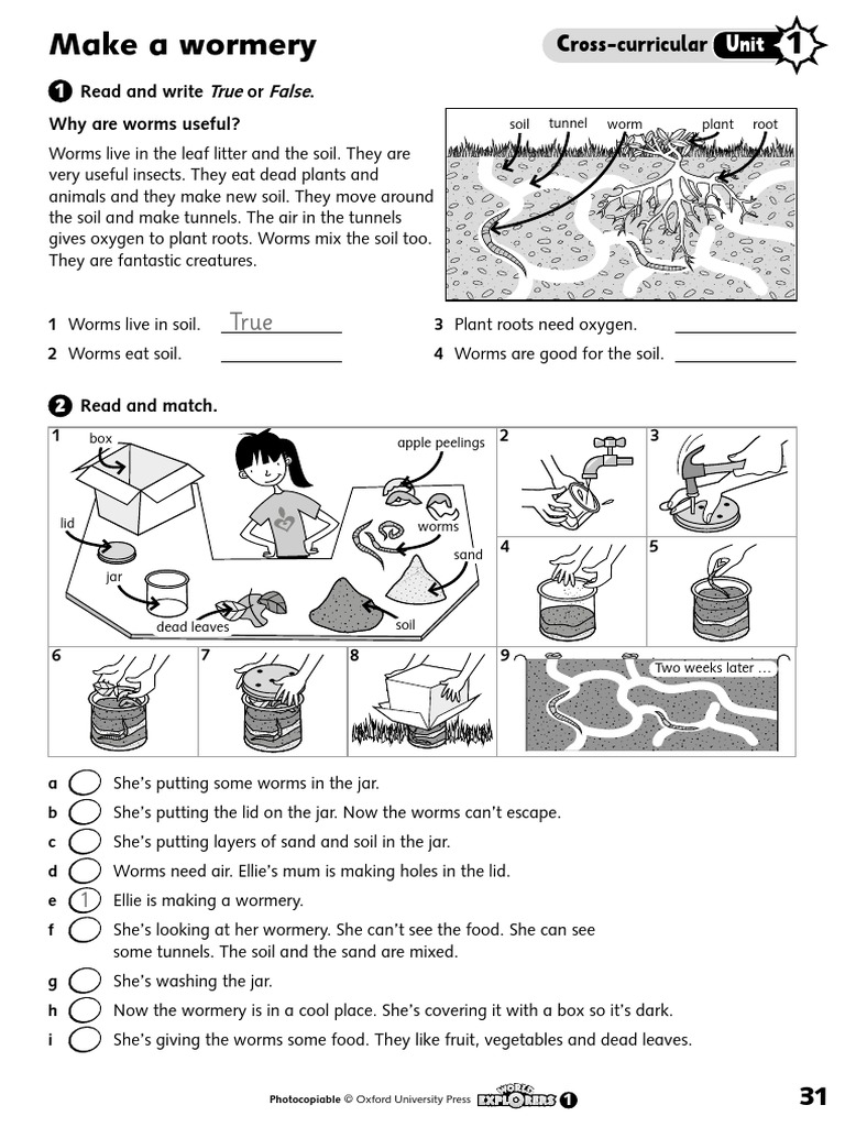 World Explorers 1 Photocopiables | PDF | Egg | Soil