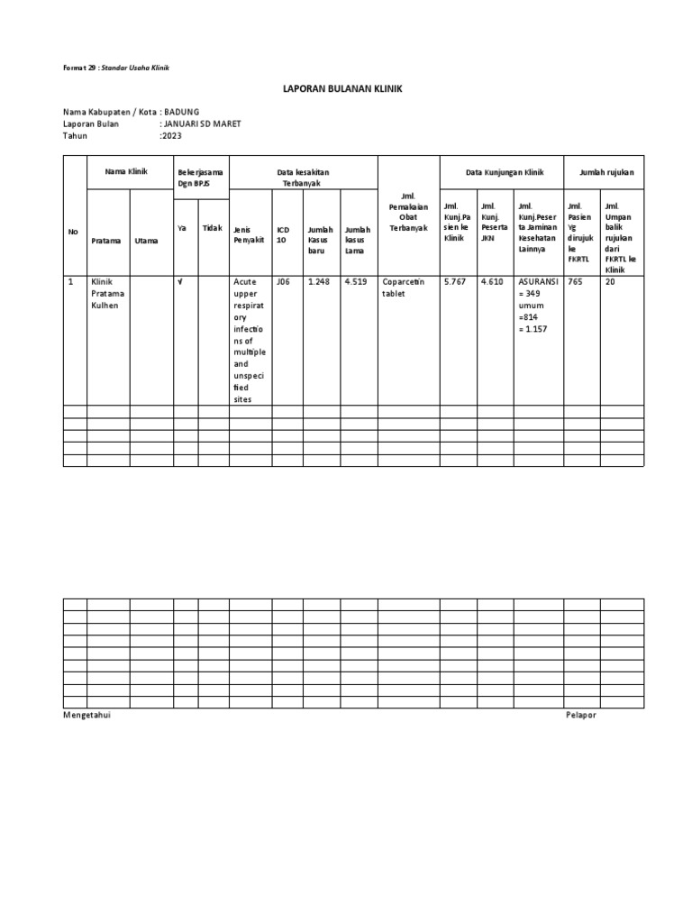 Format Laporan Klinik Kabupatenk Ota | PDF