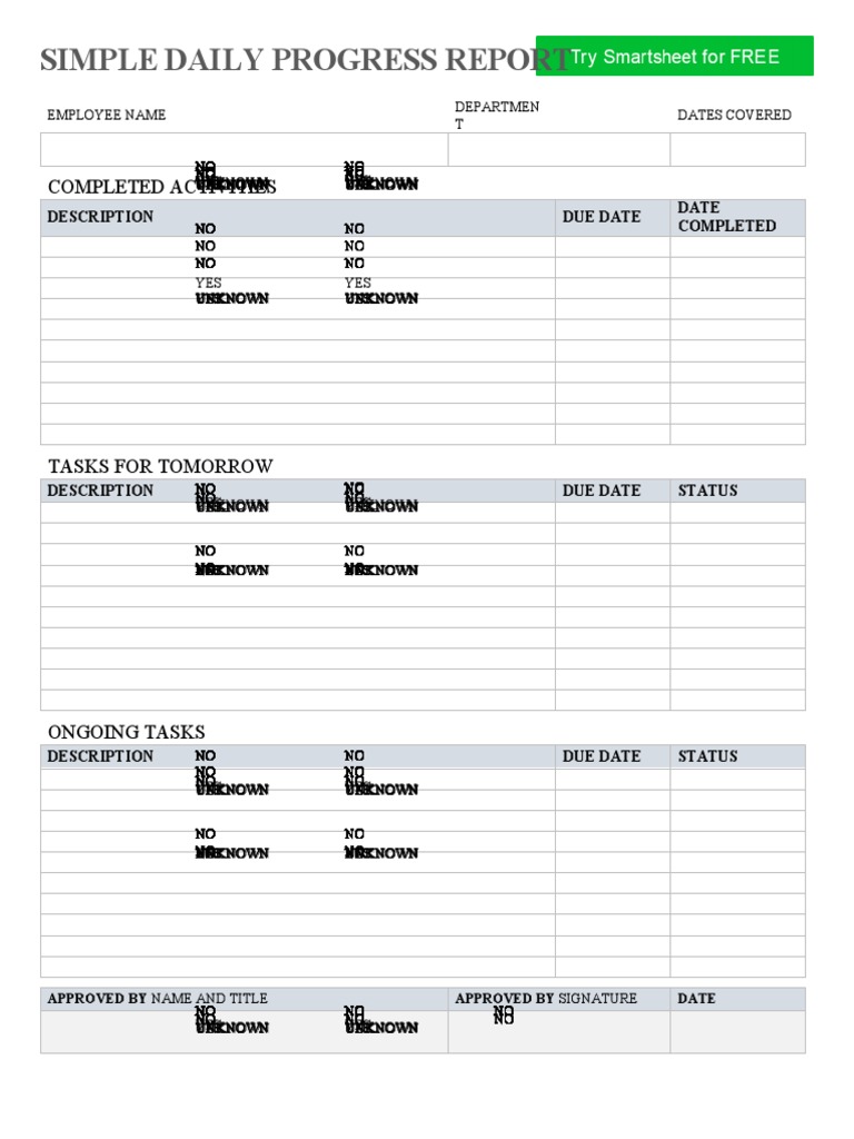 Simple Daily Progress Report: Completed Activities | PDF