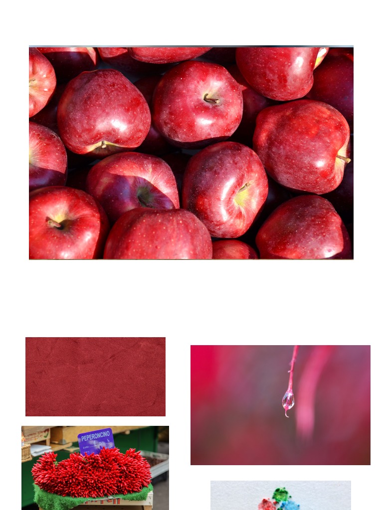 Mood board for animation | PDF