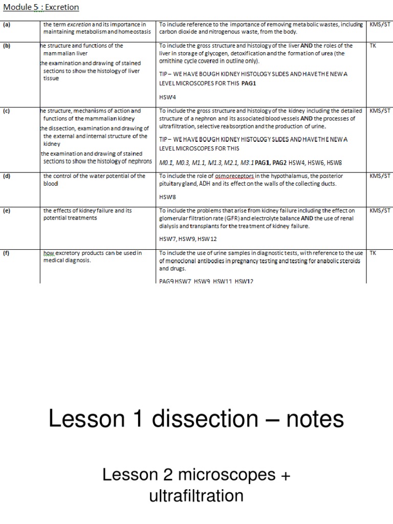 OCR A Level Biology Excretion Revision | PDF