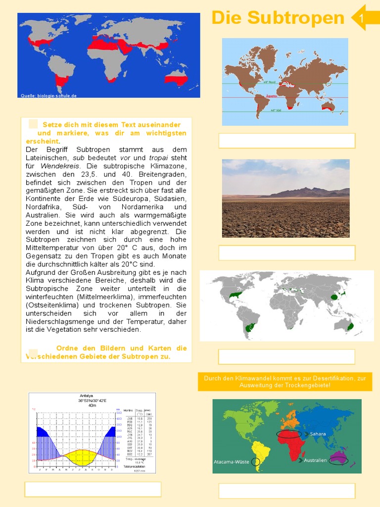 Subtropen Arbeitsblatt | PDF