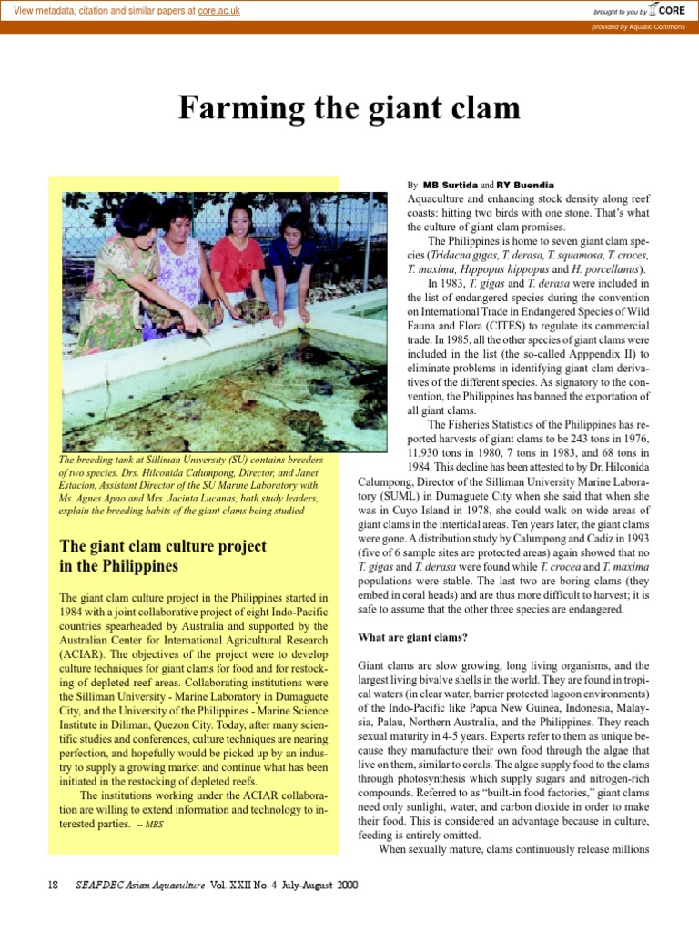 The Giant Clam Culture Project in The Philippines | PDF | Bivalvia