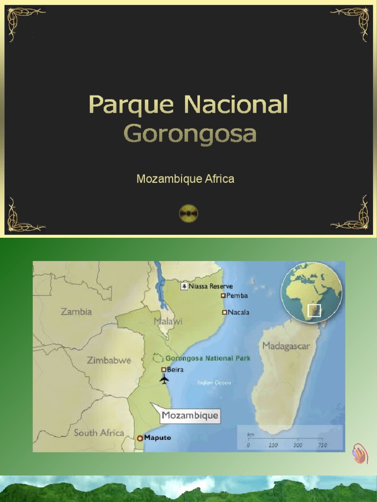 Gorongosa Mozambique Parque Nacional | PDF