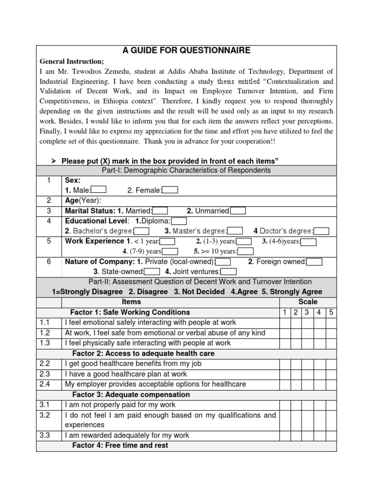QUESTIONNAIRE On Decent Work, Turnover and Firm Computativness | PDF