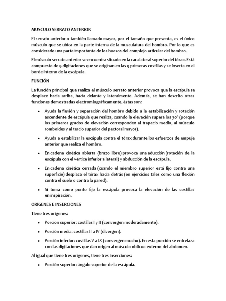 Anatomía del Serrato Anterior y Subclavio | PDF | Hombro | Tórax