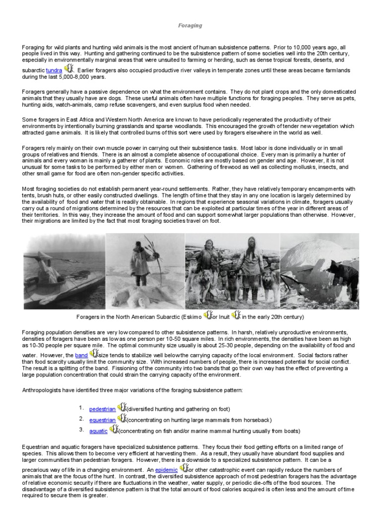 Foraging | PDF | Pastoralism | Hunter Gatherer