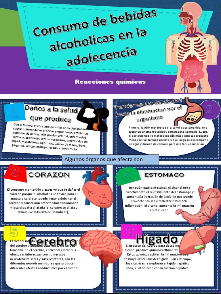 Infografia Quimica | PDF