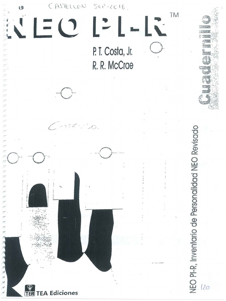 Personalidad 2. NEO. PIR. Personalidad | PDF