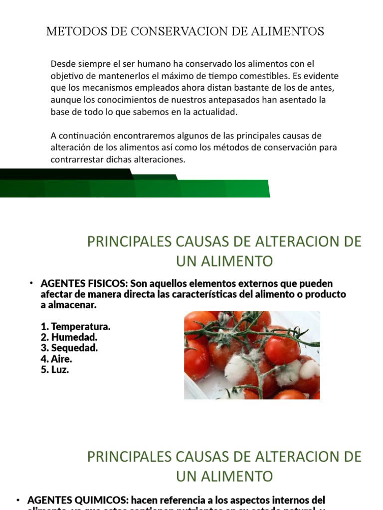 Tecnicas de Conservacion de Alimentos | PDF | Conservación de los ...