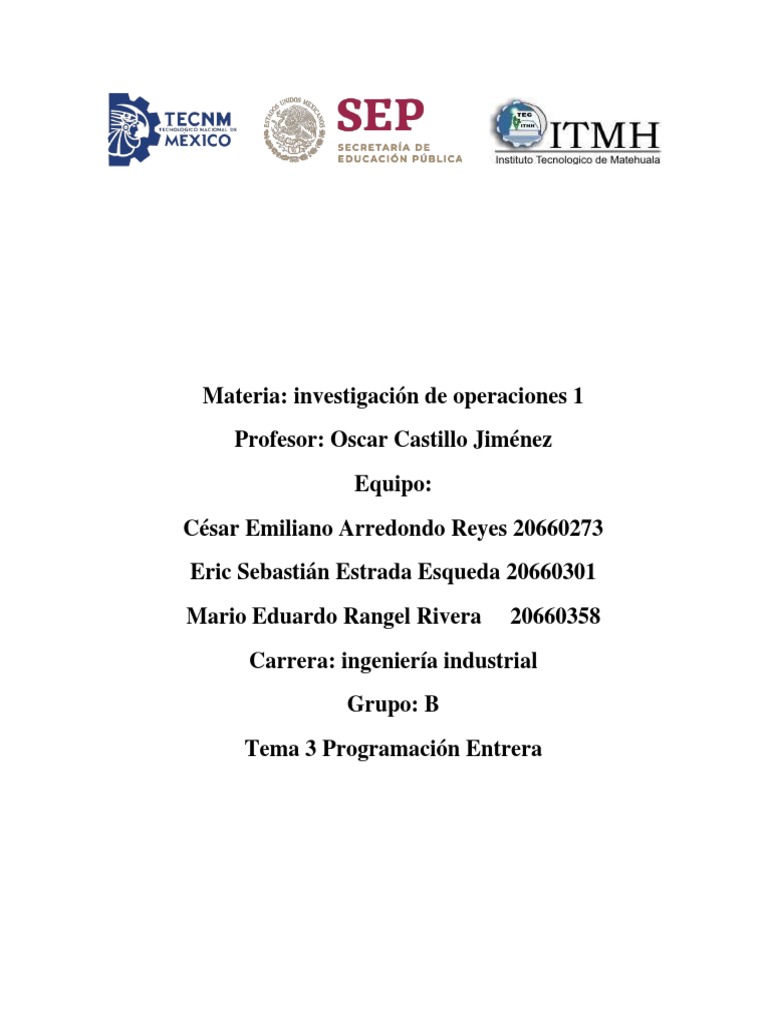 Tema 3 Programacion Entera | PDF