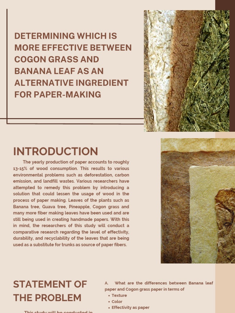 Determining Which Is More Effective Between Cogon Grass and Banana Leaf ...