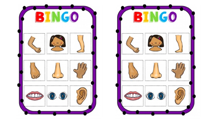 Bingo Cuerpo Humano | PDF