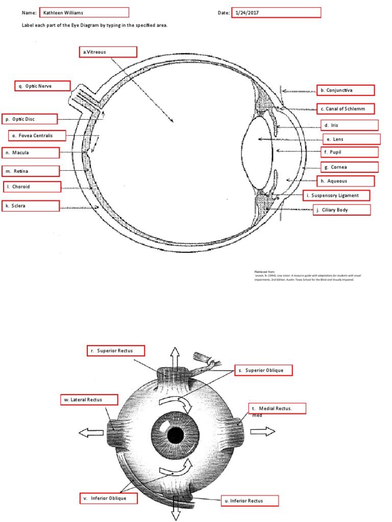 1.1 - Eye Diagrams and Functions Assignment | PDF