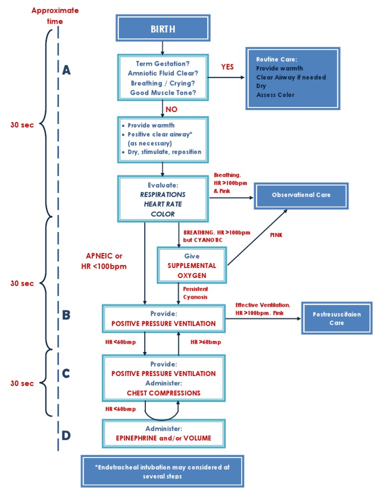 NEONATAL RESUSCITATION PROGRAM Diagram