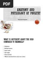 2.4 Layer Flock Management | PDF | Chicken | Poultry Farming