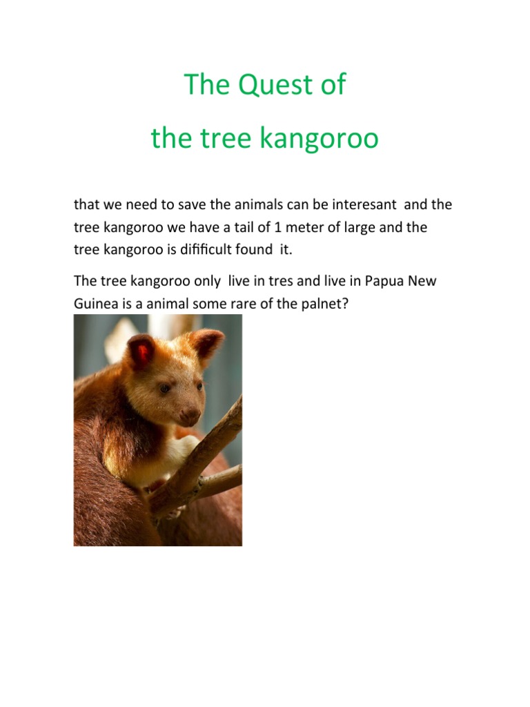 The Quest of The Tree Kangoroo | PDF