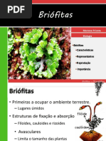 Mapa Mental - Angiospermas 1 - Biologia | PDF