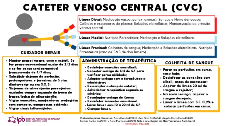 Cuidados com Cateter Venoso Central | PDF