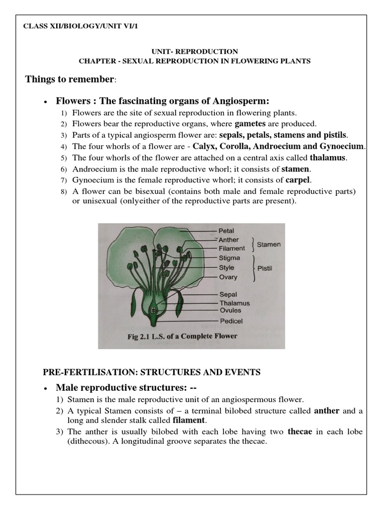 Sexual Reproduction in Flowering Plants | PDF | Fertilisation | Flowers