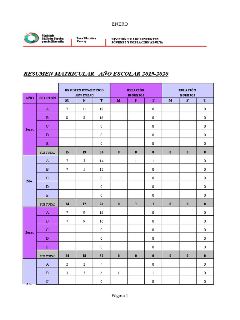 Resumen Matricular Año Escolar 2019-2020: Enero | PDF