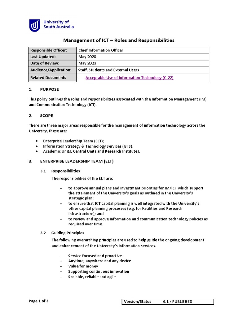 Management of Ict Roles and Responsibilities | PDF