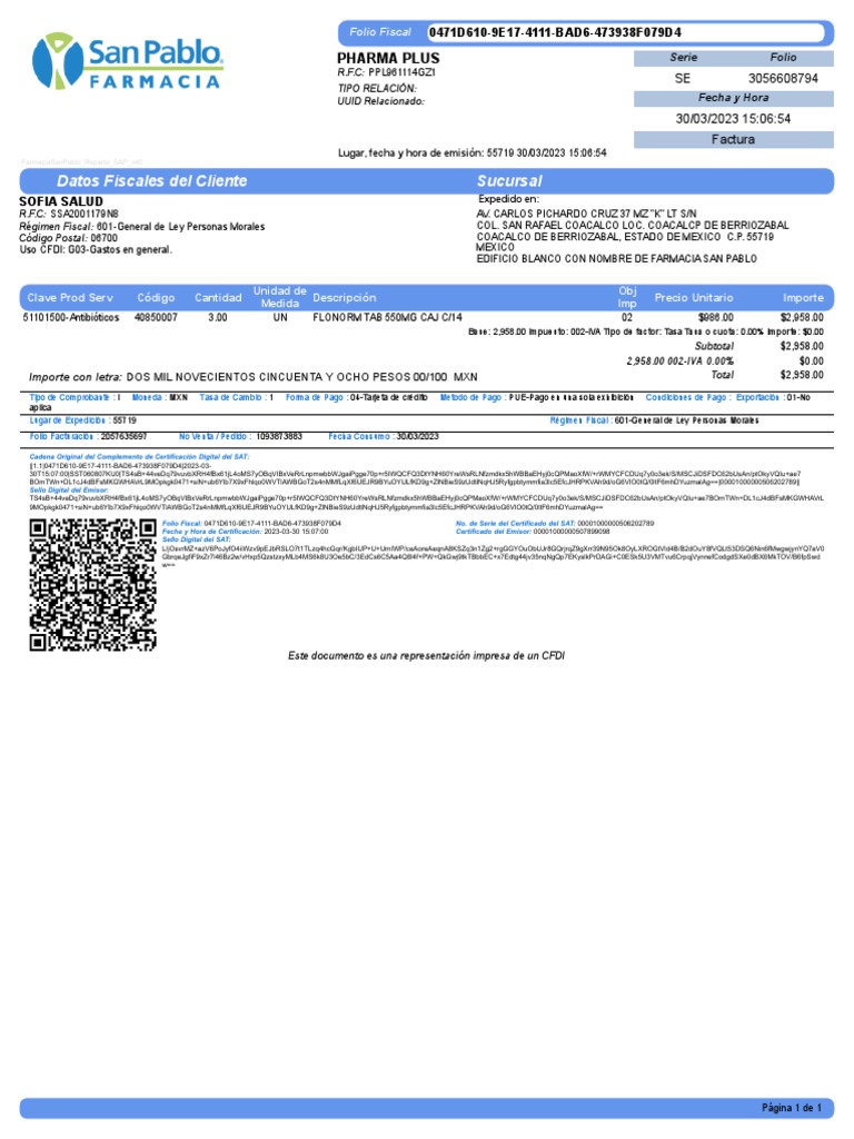 Ejemplo Factura | PDF | Pagos | Economias