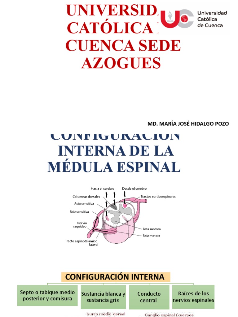 Md. María José Hidalgo Pozo | PDF | Médula espinal | Cabeza y cuello ...