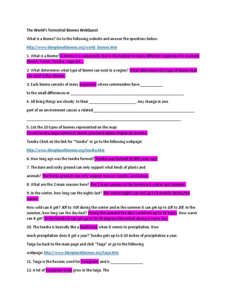 Biome Webquest | PDF | Forests | Grassland