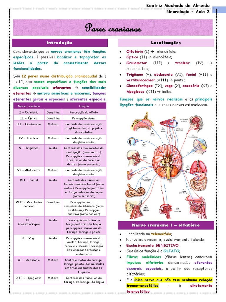Neuro - Aula 3 - Pares Cranianos | PDF | Sistema visual | Audição