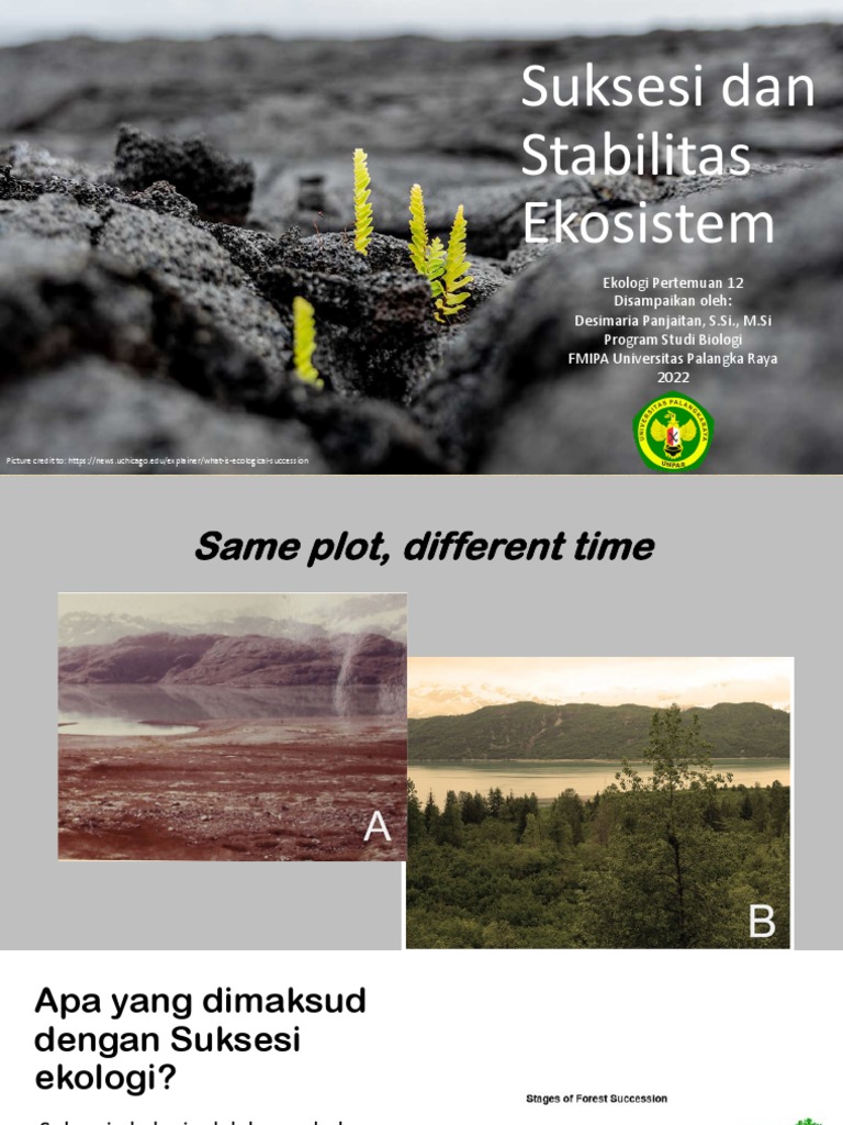 22 - Ekologi - Suksesi Dan Stabilitas Ekosistem | PDF