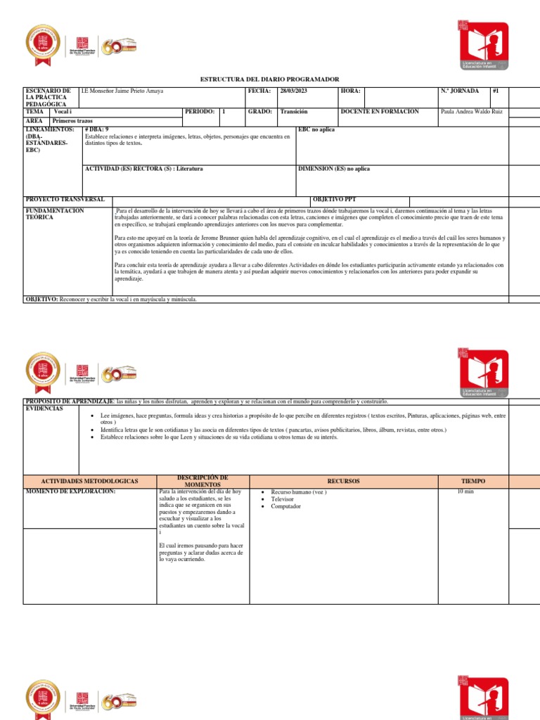 Estructura Del Diario Programador | PDF