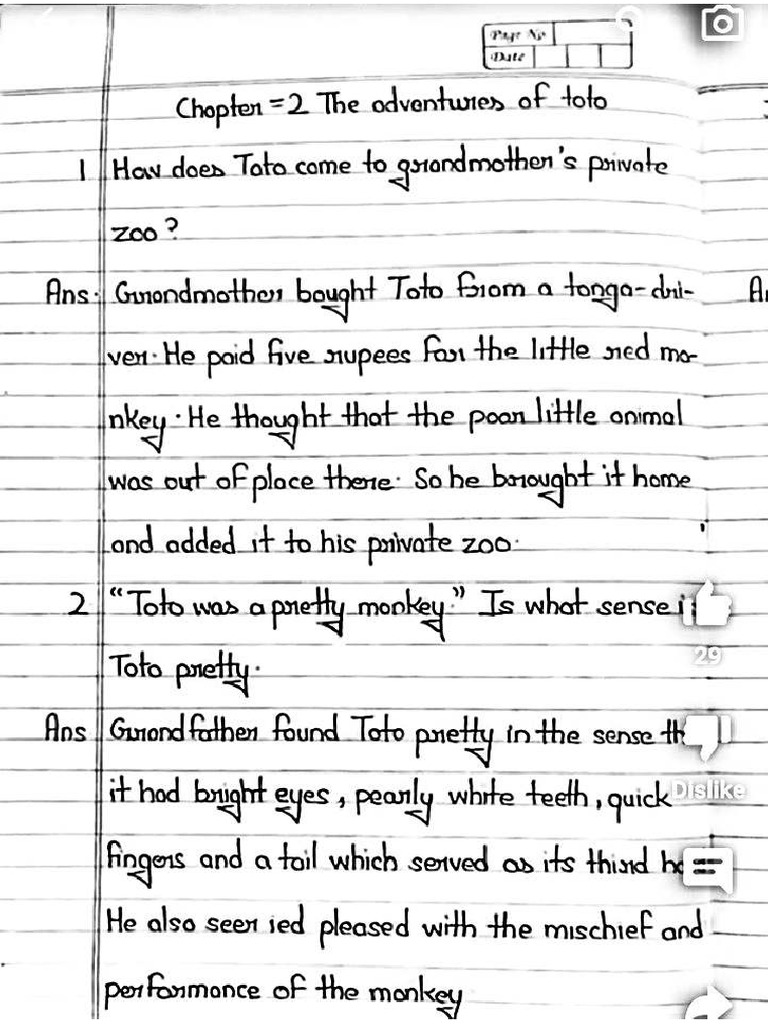 English Class 9 Chapter The Adventure of Toto | PDF