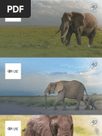 GTS Overview and Product Classification | PDF | Xml | Customs