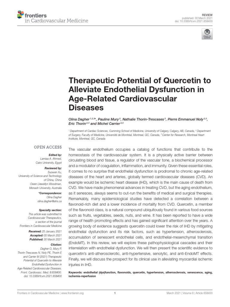 Dagher, Therapeutic Potential of Quercetin To Alleviate Endothelial ... Dagher, Therapeutic Potential of Quercetin To Alleviate Endothelial ...