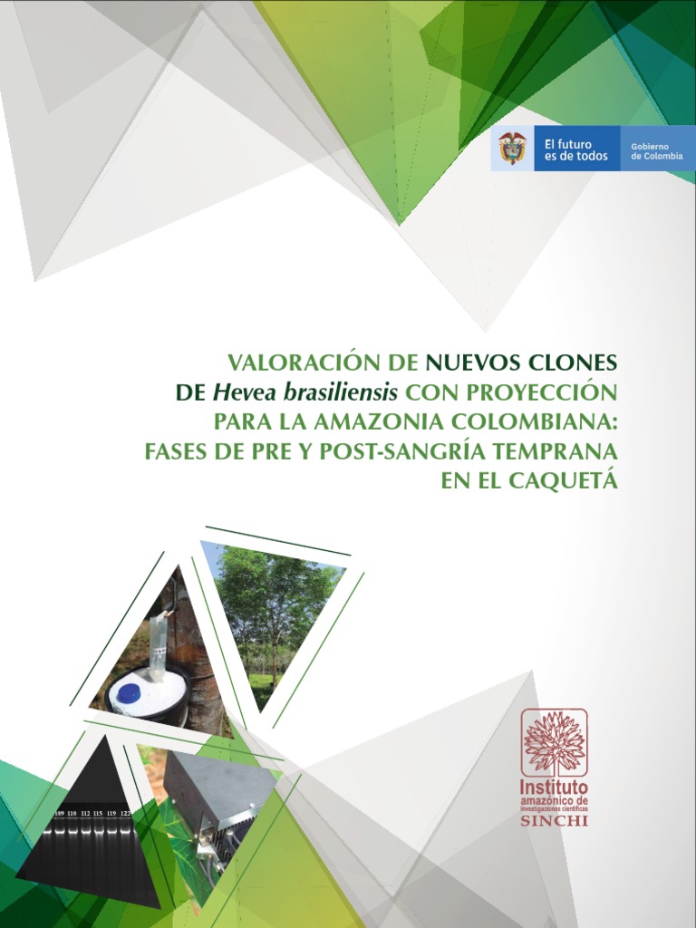 Valoración de para La Amazonia Colombiana: Fases de Pre Y Post-Sangría ...