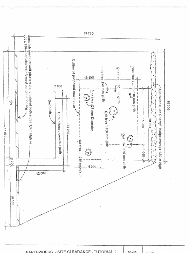 Site Clearance Example qs1 With Memo 2023 | PDF
