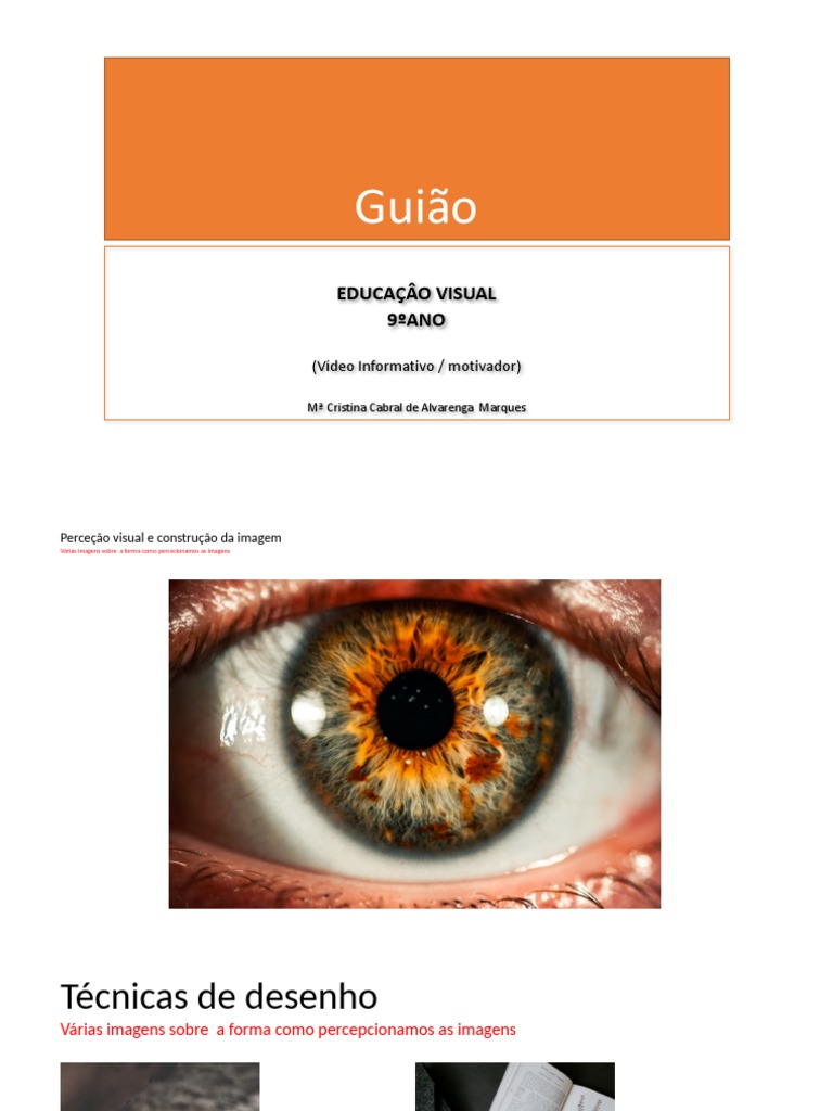 Guião Educação Visual | PDF | Museu | Imagem