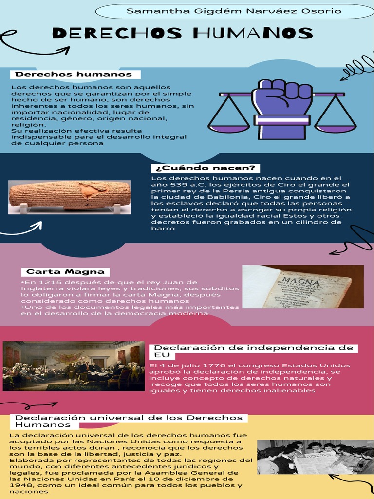 Infografia Derechos Humanos | PDF